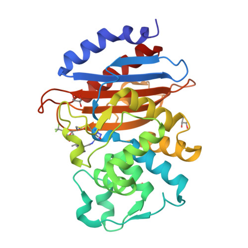 RCSB PDB - 7UA7: Crystal structure of indoline 9 with KPC-2