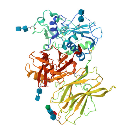 RCSB PDB - 7UAC: Human pro-meprin alpha (zymogen state)