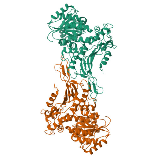 RCSB PDB - 7UAG: Structure of G6PD-WT dimer