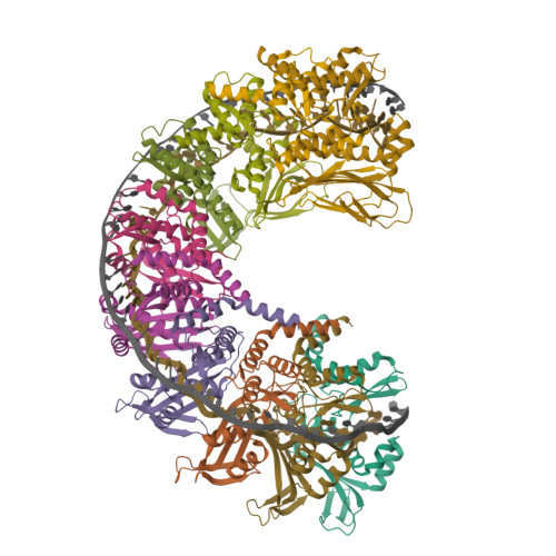 RCSB PDB - 7UB2: Structure of RecT protein from Listeria innoccua phage ...