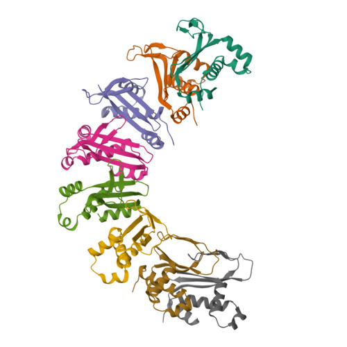 RCSB PDB - 7UBB: Structure of RecT protein from Listeria innoccua phage ...