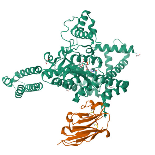 RCSB PDB - 7UBY: Structure of the GTD domain of Clostridium difficile ...