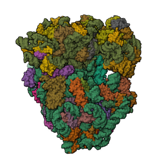 RCSB PDB - 7UCJ: Mammalian 80S translation initiation complex with mRNA ...
