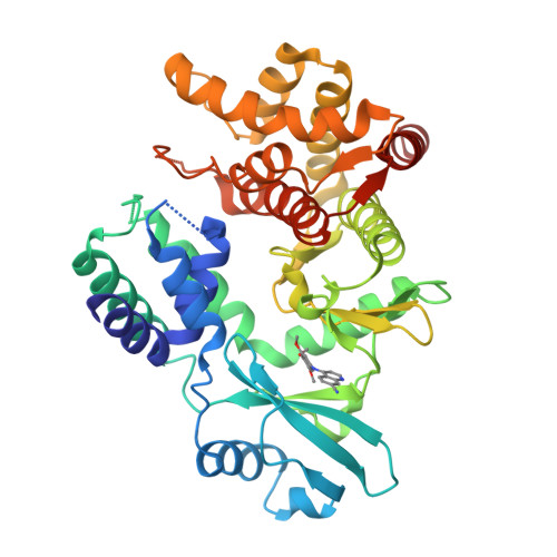 RCSB PDB - 7UDP: Crystal structure of COQ8A-CA157 inhibitor complex in ...