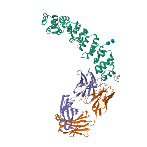 RCSB PDB - 7UED: Crystal structure of full length mesothelin bound with ...