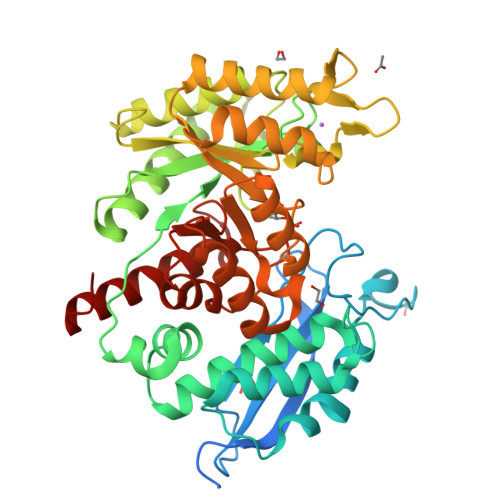 RCSB PDB - 7UGH: Crystal Structure of enolase family protein from ...