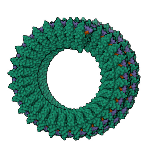 RCSB PDB - 7UJL: Bacteriophage Lambda Red-Beta N-terminal domain ...