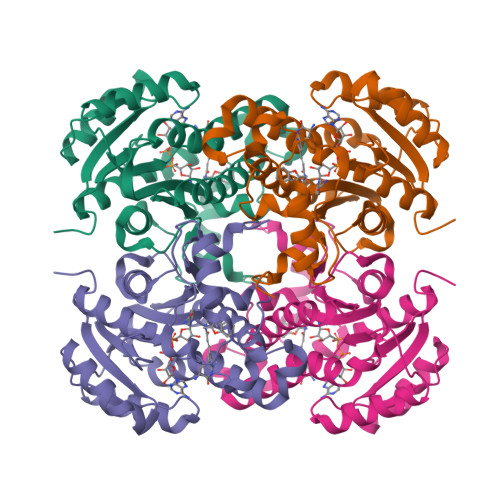 RCSB PDB - 7UMW: Crystal structure of E. Coli FabI in complex with NAD ...