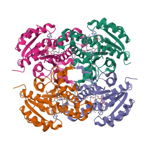 RCSB PDB - 7UMY: Crystal structure of Acinetobacter baumannii FabI in ...