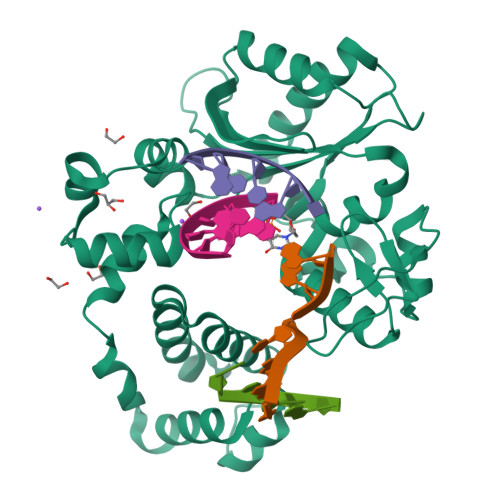 RCSB PDB - 7UN7: DNA Polymerase lambda in complex with a 1nt ...