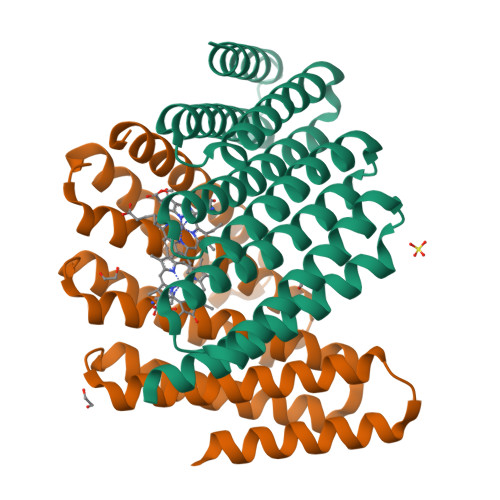 RCSB PDB - 7UNJ: De novo designed chlorophyll dimer protein with Zn ...