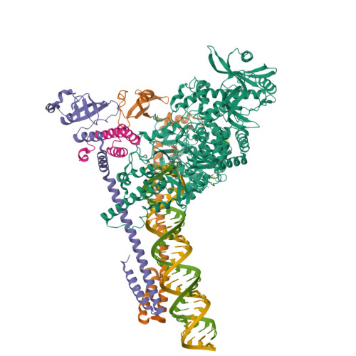 RCSB PDB - 7UO4: SARS-CoV-2 replication-transcription complex bound to ...