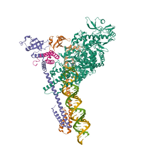 RCSB PDB - 7UO7: SARS-CoV-2 replication-transcription complex bound to ...