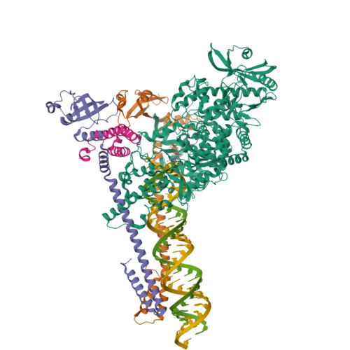 RCSB PDB - 7UO9: SARS-CoV-2 replication-transcription complex bound to UTP, in a pre-catalytic state