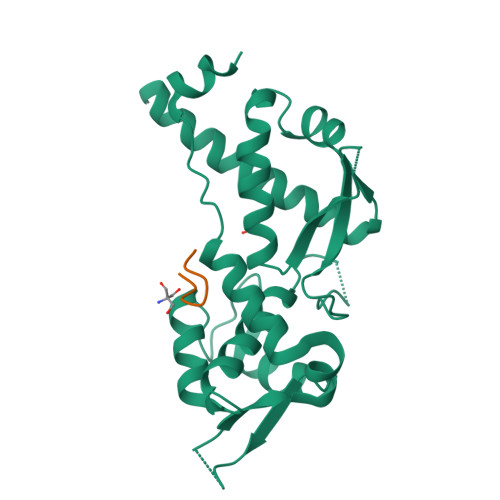 RCSB PDB - 7UOA: MAGEA4-MTP1 linear peptide complex