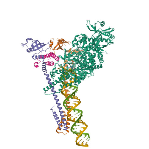 RCSB PDB - 7UOE: SARS-CoV-2 replication-transcription complex bound to ...