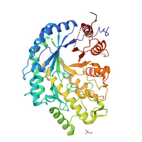 RCSB PDB - 7UPV: Structure of maize BZR1-type beta-amylase provides new ...