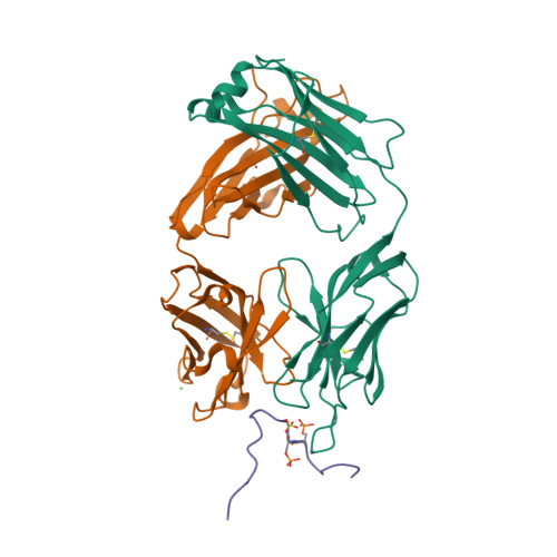 RCSB PDB - 7UQC: phospho-GlialCAM peptide AA370-389 with Fab MS39p2w174
