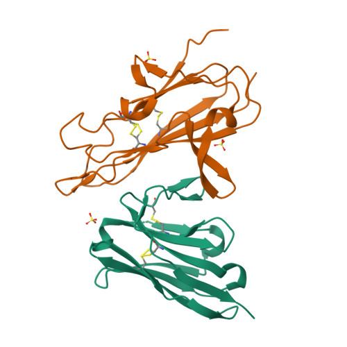 RCSB PDB - 7UST: Plasmodium falciparum protein Pfs230 D1 in complex ...