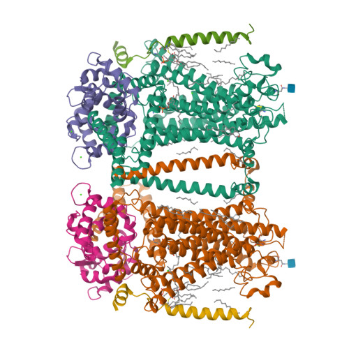RCSB PDB - 7USX: Structure of Contracted C. elegans TMC-1 complex