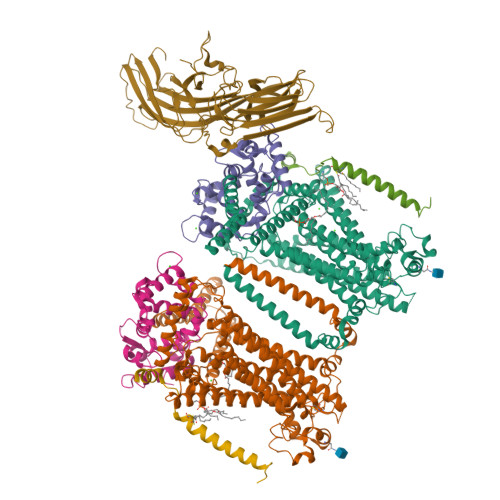 RCSB PDB - 7USY: Structure of C. elegans TMC-1 complex with ARRD-6