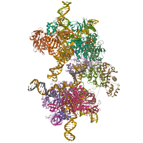 RCSB PDB - 7UT1: Higher-order assembly of multiple MMTV strand transfer ...
