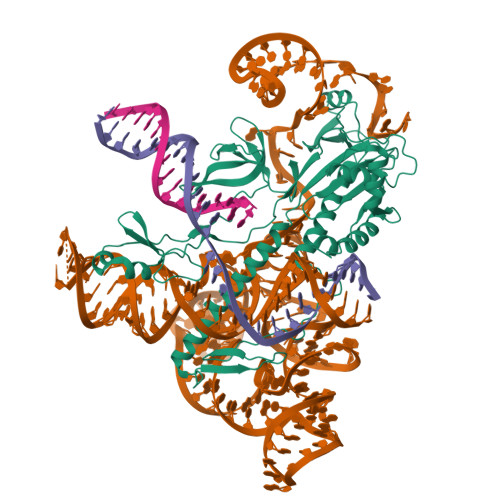 RCSB PDB - 7UTN: IscB and wRNA bound to Target DNA