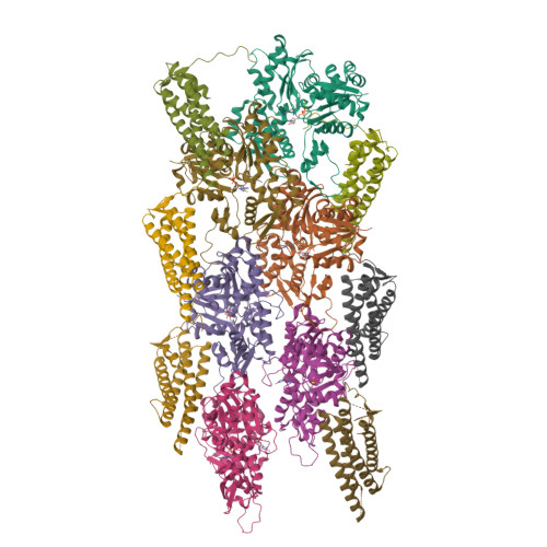 RCSB PDB - 7UUW: Cryogenic electron microscopy 3D map of F-actin bound ...