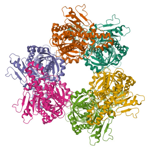 RCSB PDB - 7UWQ: Klebsiella pneumoniae adenosine monophosphate nucleosidase