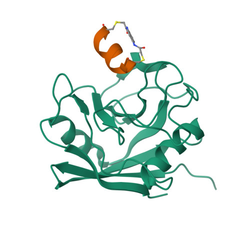 RCSB PDB - 7UXJ: Structure of PPIA in complex with FP29102, a Helicon ...