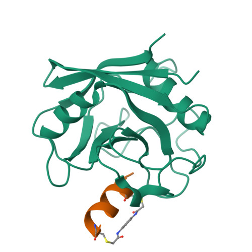 RCSB PDB - 7UXN: Structure of PPIA in complex with FP29103, a Helicon ...