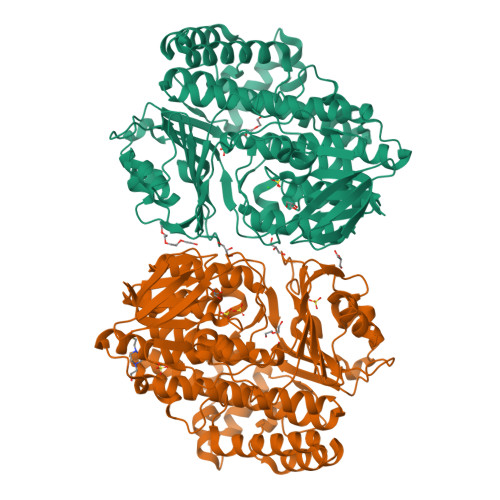 RCSB PDB - 7V0D: Crystal structure of halogenase CtcP from ...