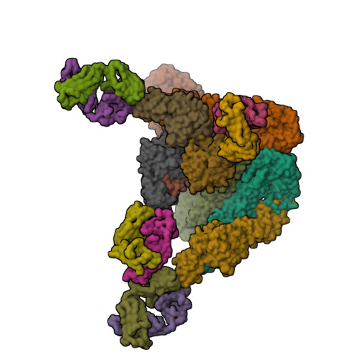 RCSB PDB - 7V0O: Cryo-EM structure of SINV/EEEV in complex with Fab ...