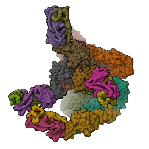 RCSB PDB - 7V0P: Cryo-EM structure of SINV/EEEV in complex with Fab ...