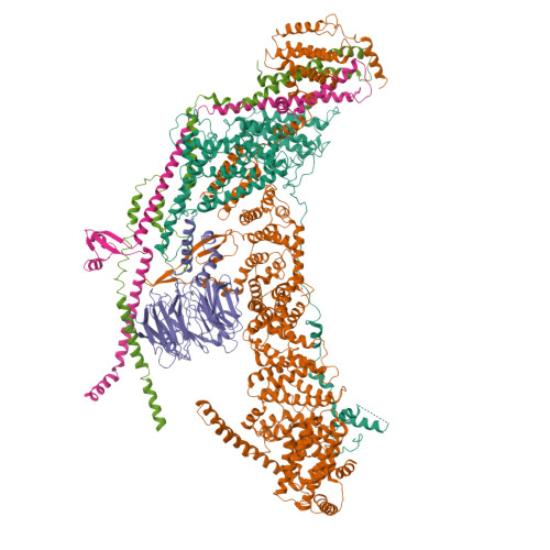 RCSB PDB - 7V2W: protomer structure from the dimer of yeast THO complex