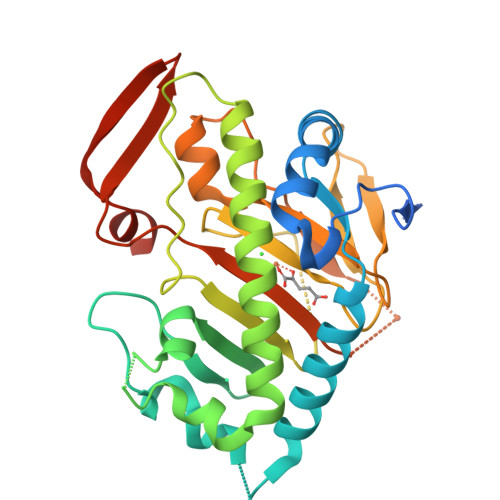 RCSB PDB - 7V57: Structure of AdaV
