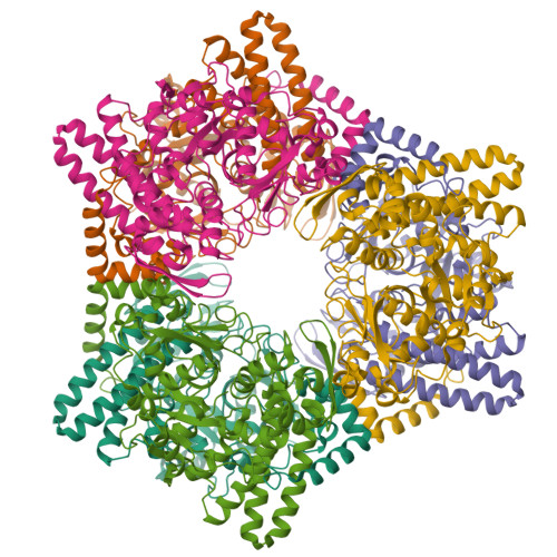 RCSB PDB - 7V5T: Crystal structure of human bleomycin hydrolase C73S mutant