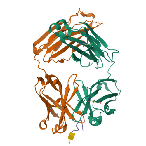 RCSB PDB - 7V64: Crystal structure of Antibody 16A in complex with MUC1 ...