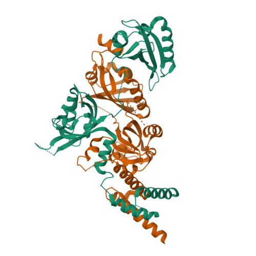 RCSB PDB - 7V7L: Crystal Structure of the Heterodimeric HIF-3a:ARNT Complex