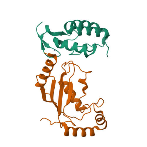 RCSB PDB - 7V8F: Crystal structure of UBE2L3 bound to HOIP RING1 domain.
