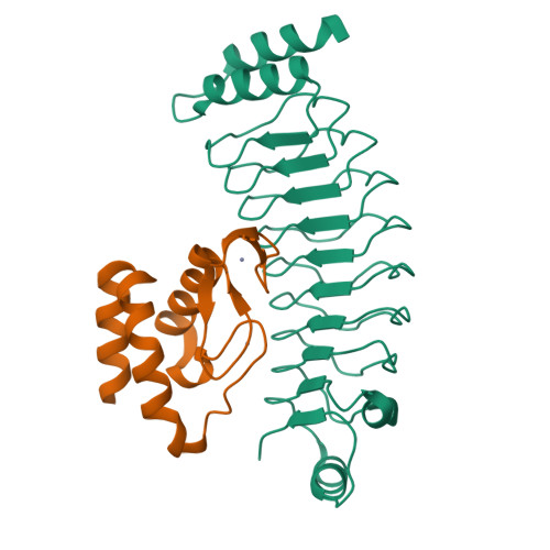 RCSB PDB - 7V8G: Crystal structure of HOIP RING1 domain bound to IpaH1 ...