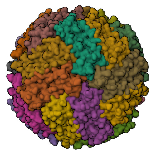 RCSB PDB - 7VD8: 1.96 A structure of human apoferritin obtained from ...