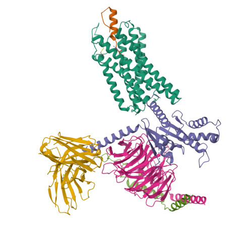 RCSB PDB - 7VGX: Neuropeptide Y Y1 Receptor (NPY1R) in Complex with G ...
