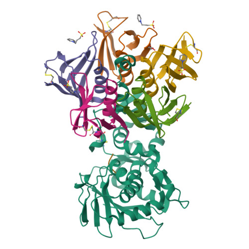 RCSB PDB - 7VHF: Crystal structure of the STX2a complexed with RRA peptide