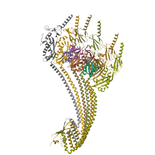 RCSB PDB - 7VHQ: Structural insights into the membrane microdomain ...