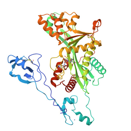 RCSB PDB - 7VI0: Crystal structure of EP300 HAT domain in complex with ...