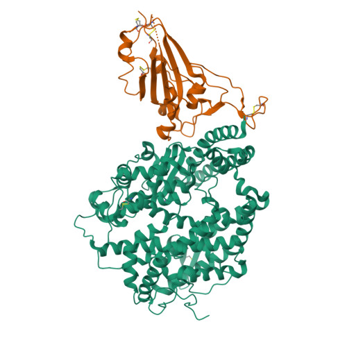 RCSB PDB - 7VIB: Crystal structure of human ACE2 and GX/P2V RBD