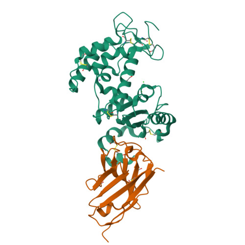 RCSB PDB - 7VKE: Crystal structure of human CD38 ECD in complex with ...