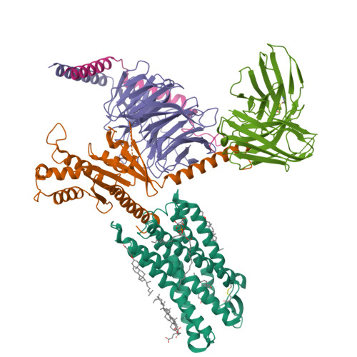 RCSB PDB - 7VKT: cryo-EM structure of LTB4-bound BLT1 in complex with ...