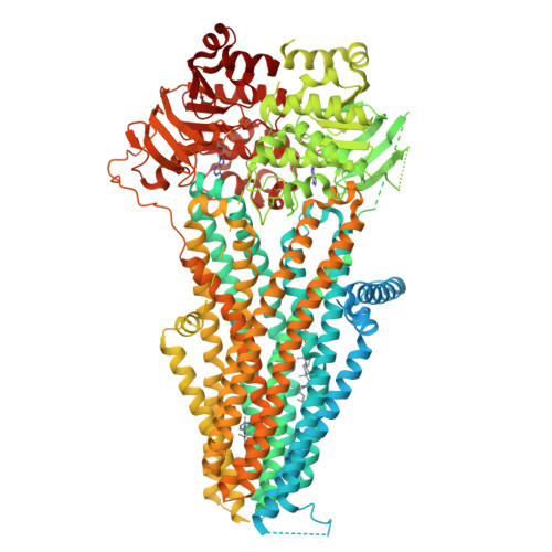 RCSB PDB - 7VLS: Structure of SUR2B in complex with MgATP/ADP and P1075